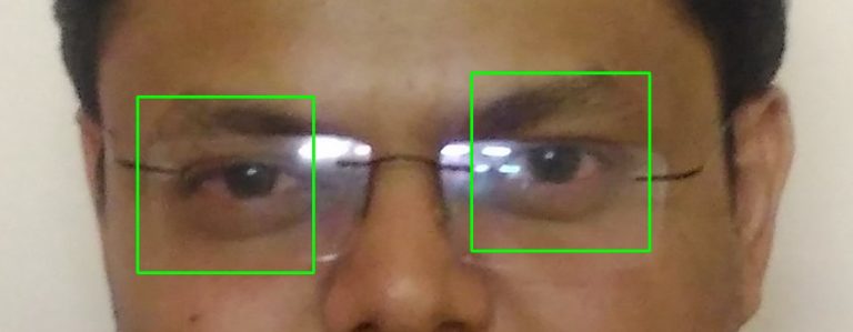 Training A Better Haar And Lbp Cascade Based Eye Detector Using Opencv Learnopencv