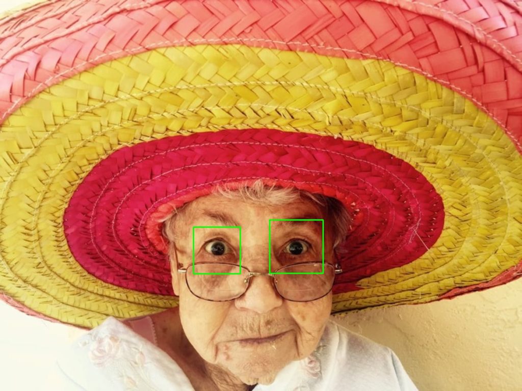 Training A Better Haar And Lbp Cascade Based Eye Detector Using Opencv Learnopencv 9238