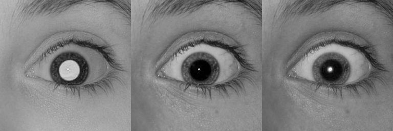 Automatic Red Eye Remover Using Opencv C Python Learnopencv