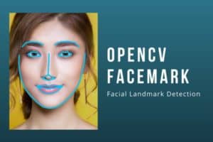 Facemark : Facial Landmark Detection using OpenCV | LearnOpenCV