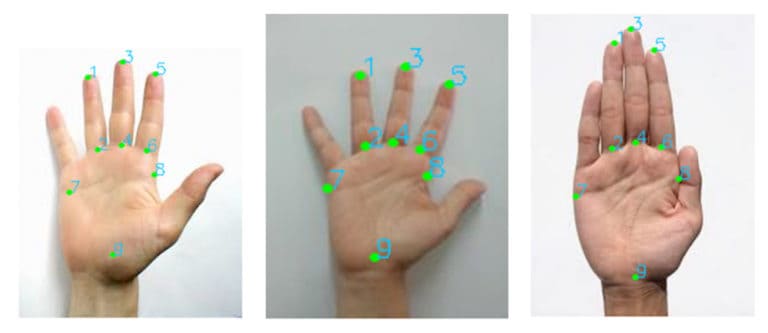 Hand Landmark Detector Examples Learn Opencv 5274