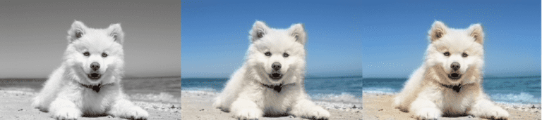 Image Colorization Using CNN With OpenCV