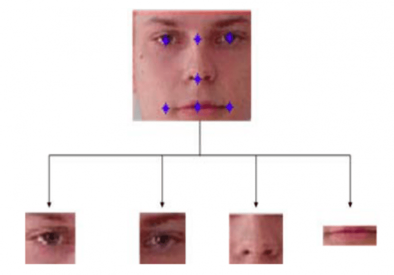 Face Recognition for Beginners - Nearly Everything You Need to Know