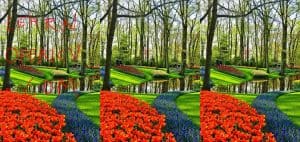 Image Inpainting with OpenCV (C++/Python) | LearnOpenCV