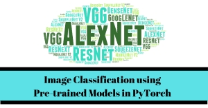 Pre Trained Models for Image Classification - PyTorch