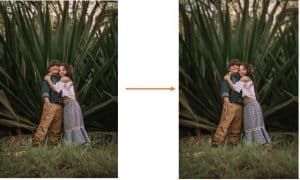 Applications of Foreground-Background separation with Semantic ...