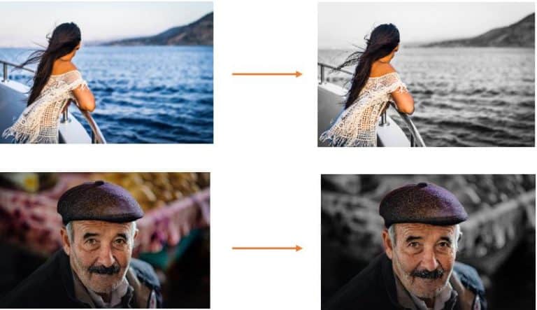 Applications of Foreground-Background separation with Semantic Segmentation | LearnOpenCV