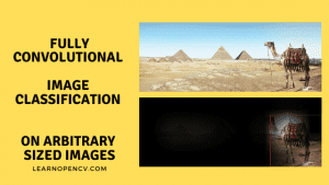 image classification different size | LearnOpenCV