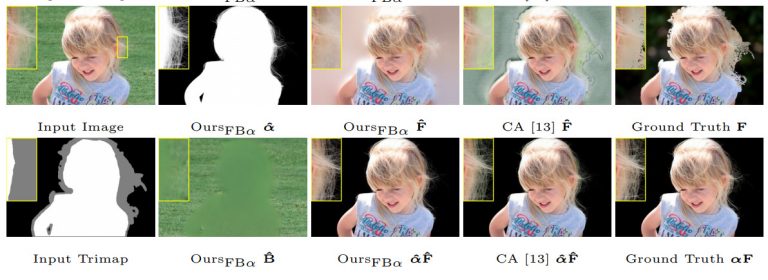 Image Matting with state-of-the-art Method "F, B, Alpha Matting" | LearnOpenCV