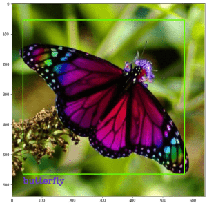 Classification with Localization: Convert any Keras Classifier to a ...