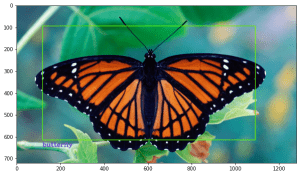 Classification with Localization: Convert any Keras Classifier to a ...