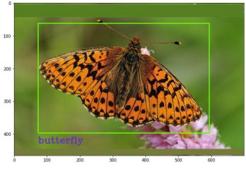 Classification with Localization: Convert any Keras Classifier to a ...