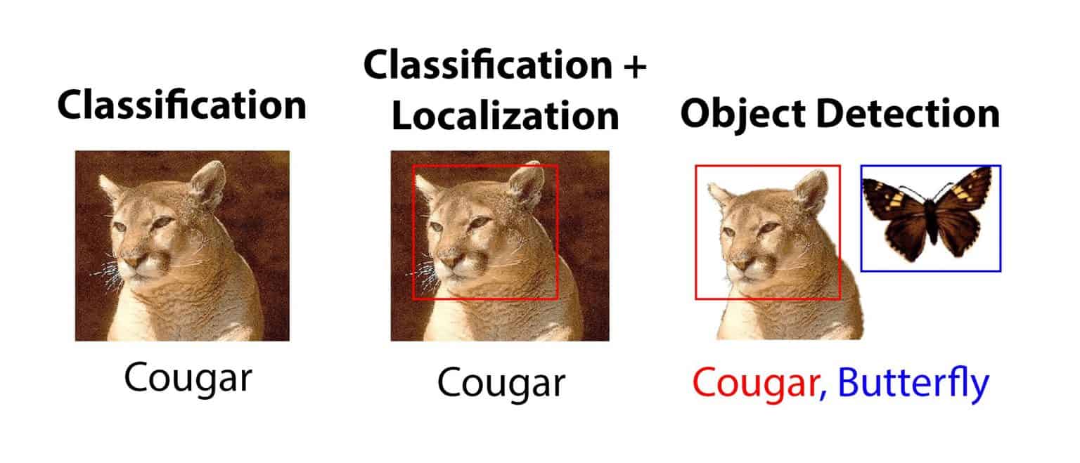 Classification with Localization: Convert any Keras Classifier to a ...