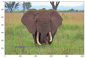 Classification with Localization: Convert any Keras Classifier to a ...