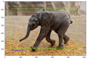 Classification with Localization: Convert any Keras Classifier to a ...