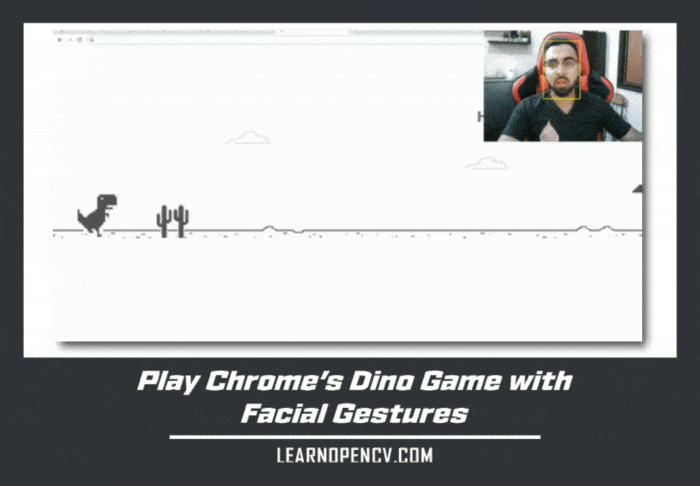 dino_feature_gif | LearnOpenCV