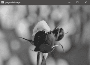 Read, Display and Write an Image using OpenCV - LearnOpenCV