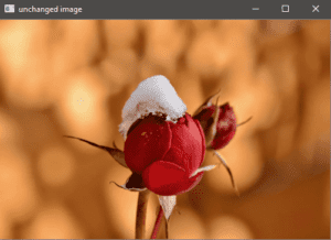 Read, Display and Write an Image using OpenCV - LearnOpenCV
