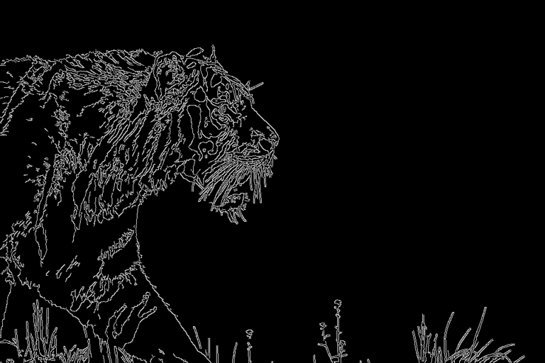 Edge Detection Using Opencv Learnopencv