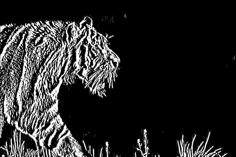 Edge Detection Using OpenCV LearnOpenCV