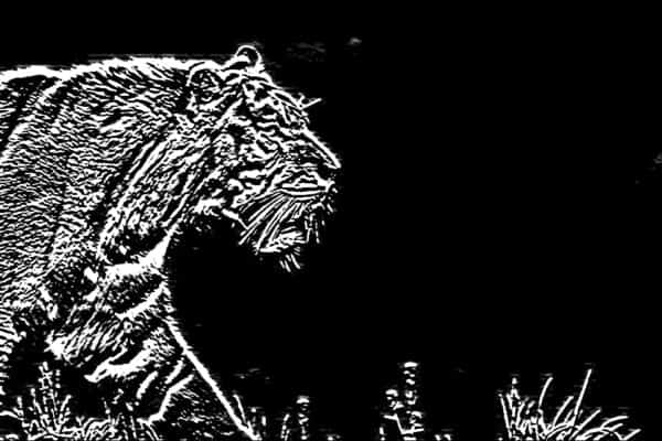 Edge Detection Using OpenCV | LearnOpenCV