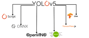 YOLOv5 - Fine Tuning & Custom Object Detection Training