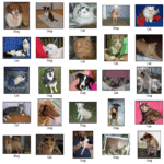 TensorFlow Lite Model Maker: Create Models for On-Device Machine Learning