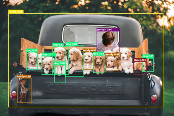 Mean Average Precision (mAP) in Object Detection