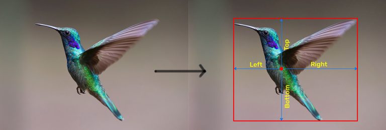 Yolox Object Detector Paper Explanation And Custom Training Learnopencv