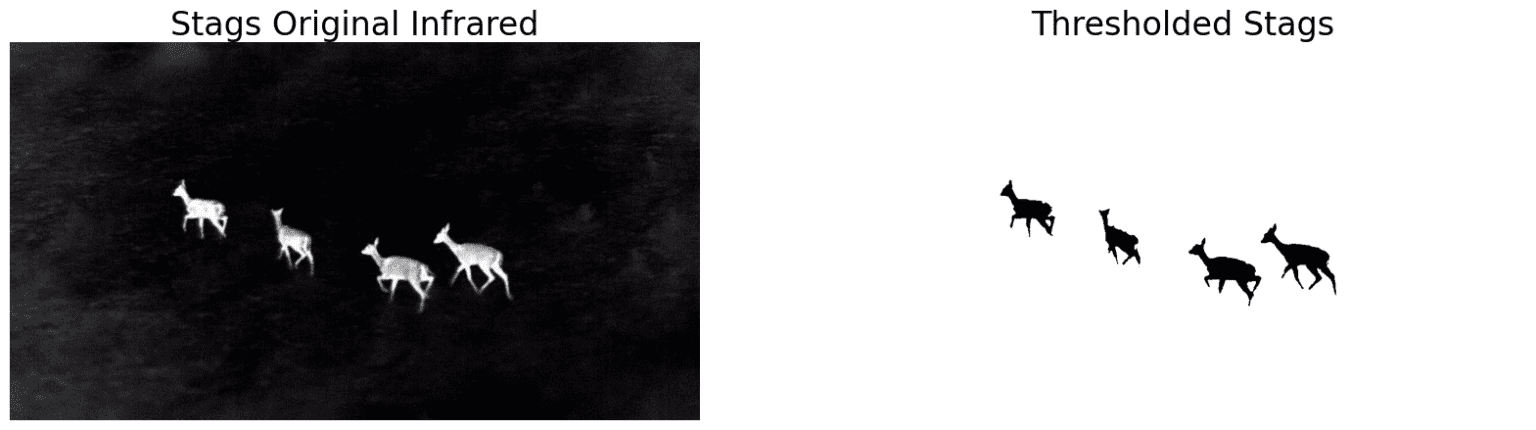 Roadmap To an Automated Image Annotation Tool Using OpenCV