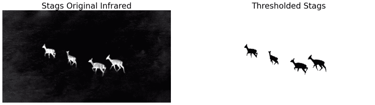 Roadmap To an Automated Image Annotation Tool Using OpenCV