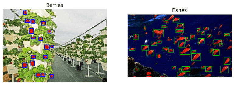 Roadmap To An Automated Image Annotation Tool Using Opencv 0722