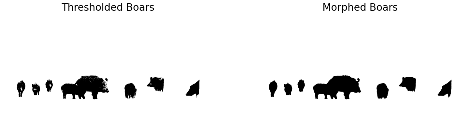 Roadmap To an Automated Image Annotation Tool Using OpenCV