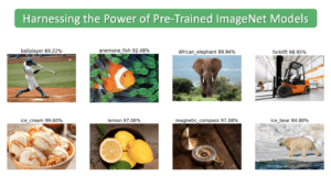 Image Classification using Pre-Trained ImageNet Models in TensorFlow ...