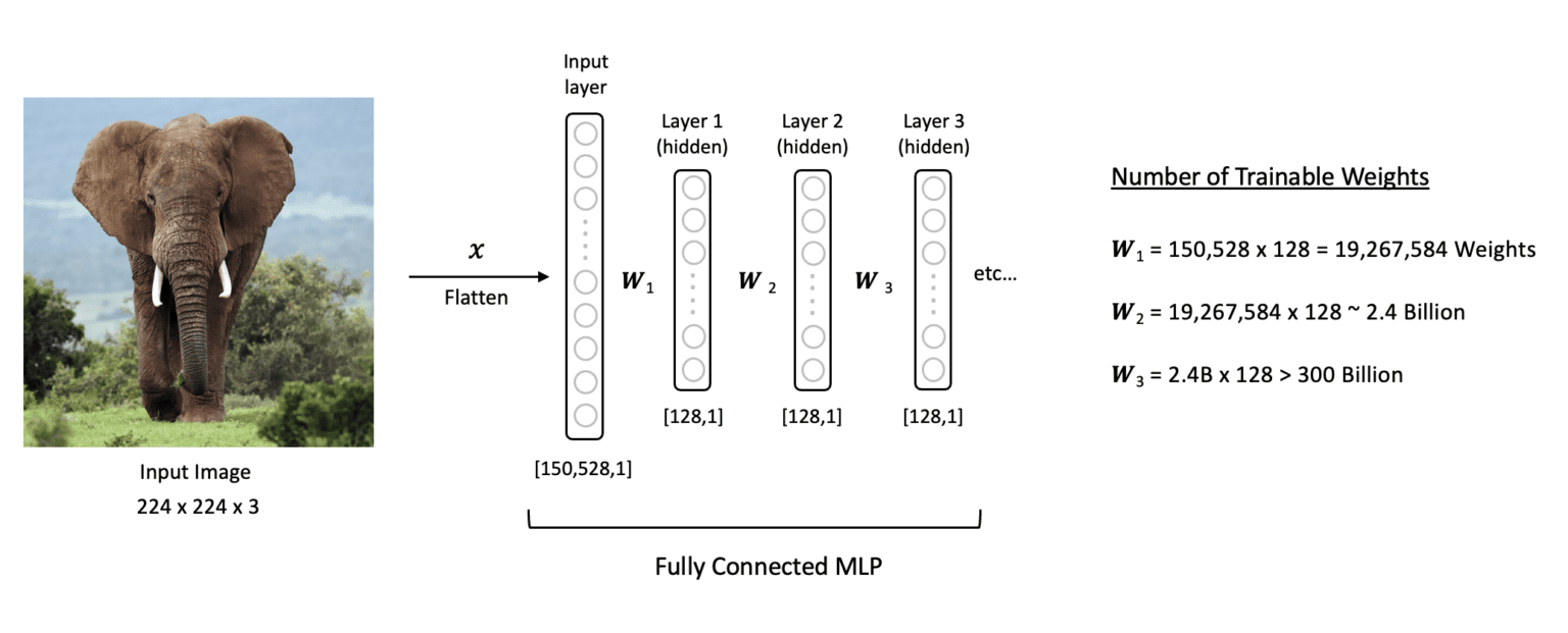 Convolutional Neural Network: A Complete Guide