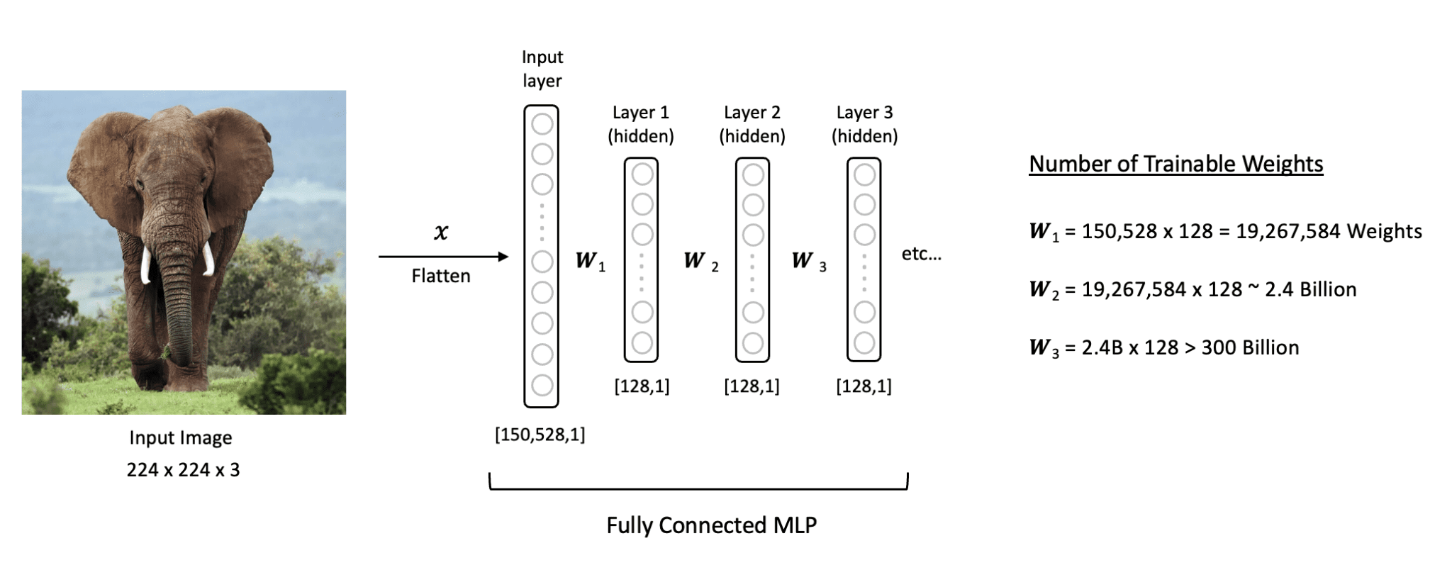 Convolutional Neural Network: A Complete Guide