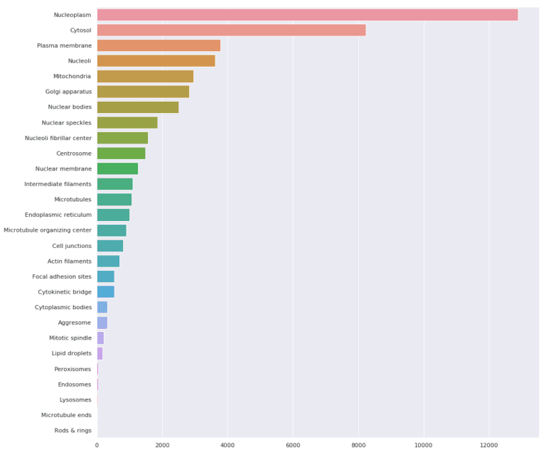 Medical Multi-label Classification With PyTorch & Lightning