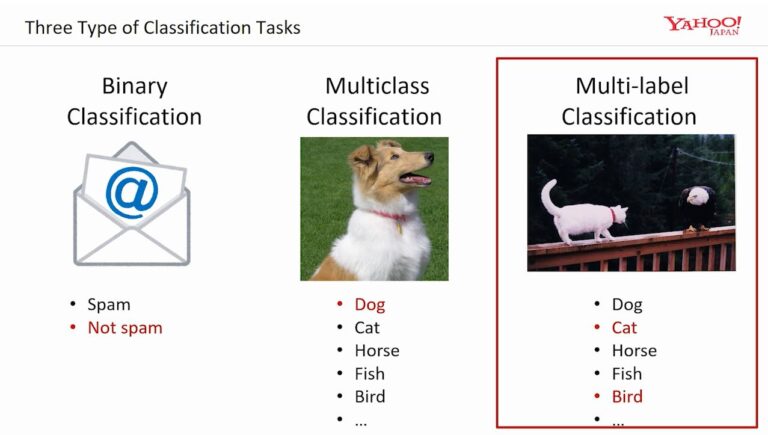 Medical Multi-label Classification With PyTorch & Lightning