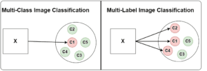 Medical Multi-label Classification With PyTorch & Lightning