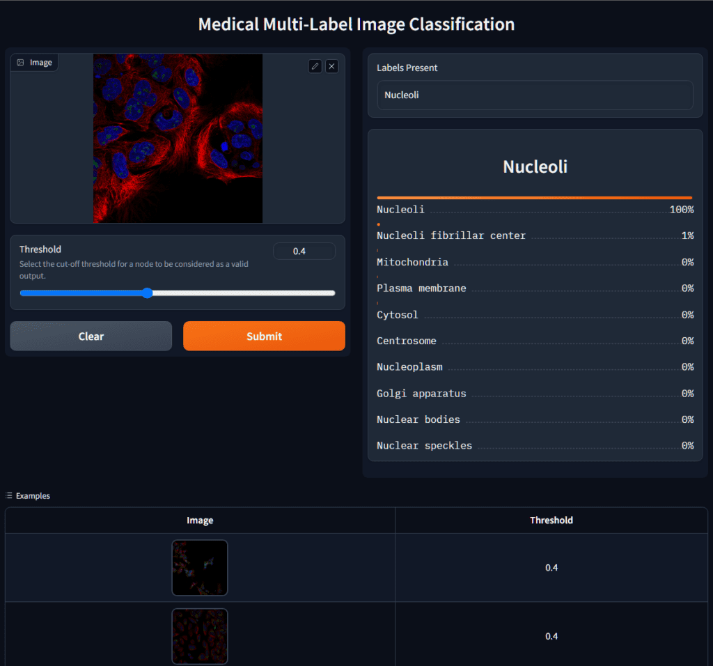 Medical Multi-label Classification With PyTorch & Lightning