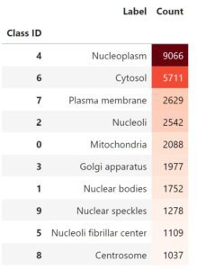 Medical Multi-label Classification With PyTorch & Lightning