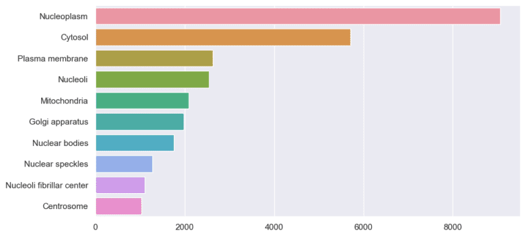 Medical Multi-label Classification With PyTorch & Lightning