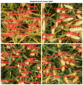 Weighted Boxes Fusion in Object Detection - Enhancing Accuracy