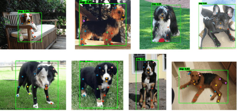 Animal Pose Estimation: Fine-tuning YOLOv8 Pose Models