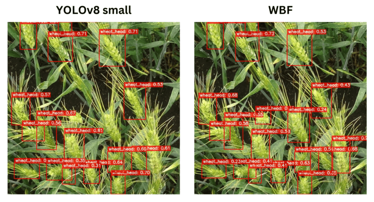 Comparing KerasCV YOLOv8 Models on the Global Wheat Data