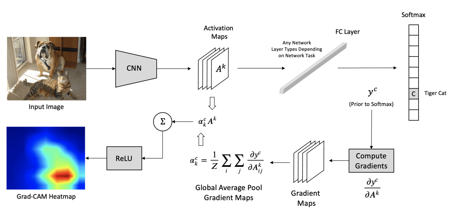 GradCAM: Enhancing Neural Network Interpretability