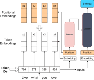 Deciphering LLMs: From Transformers to Quantization