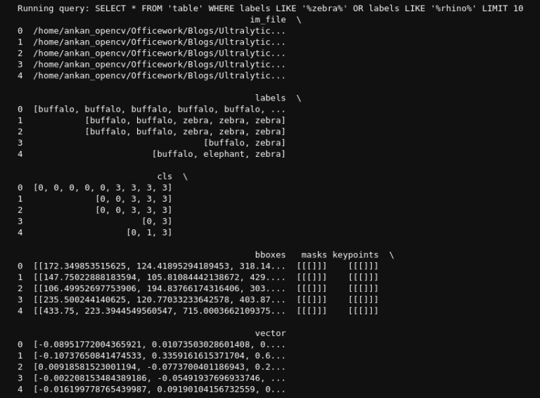 Introduction to Ultralytics Explorer API Introduction to Ultralytics Explorer API