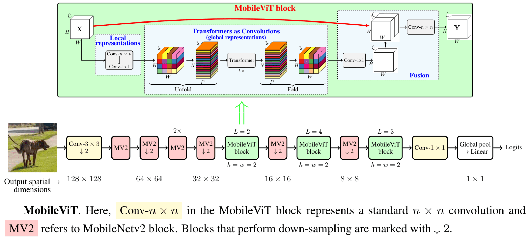 Building MobileViT from Scratch in Keras 3