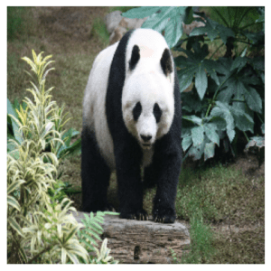 Building MobileViT from Scratch in Keras 3